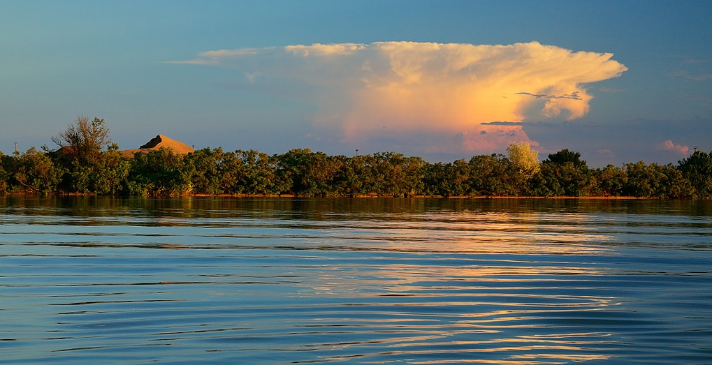 Danube Delta Biosphere Reserve Danube Delta Wildlife